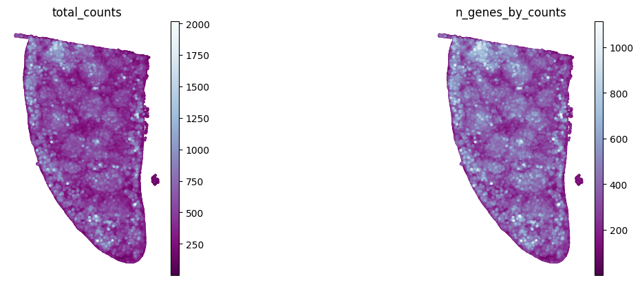 Spatial localization of immune cells in the mouse spleen using DIRAC ...