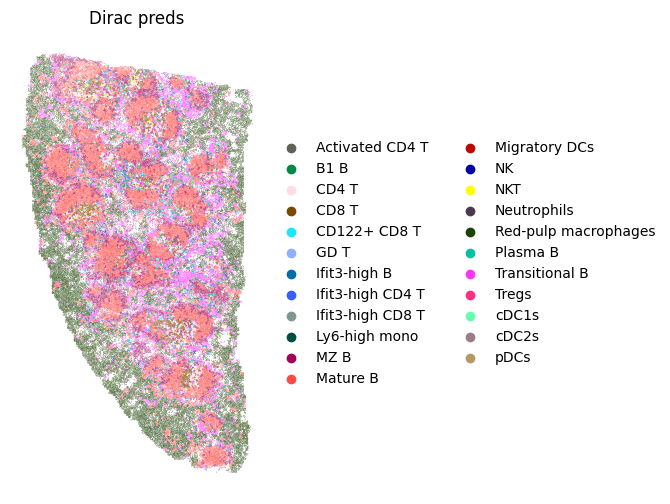 Spatial localization of immune cells in the mouse spleen using DIRAC ...
