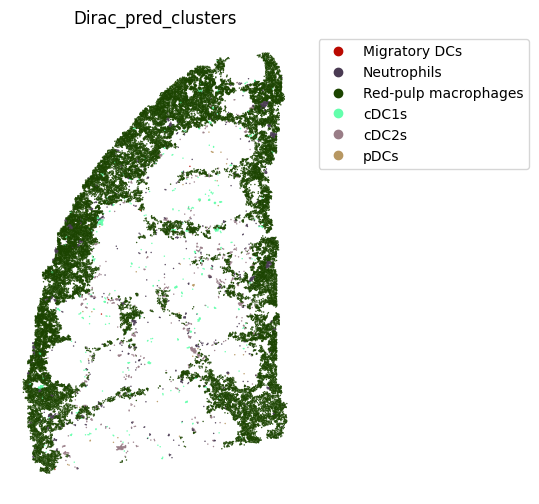 Spatial localization of immune cells in the mouse spleen using DIRAC ...