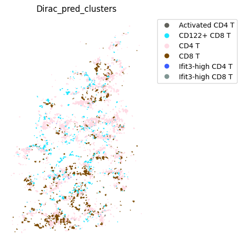 Spatial localization of immune cells in the mouse spleen using DIRAC ...