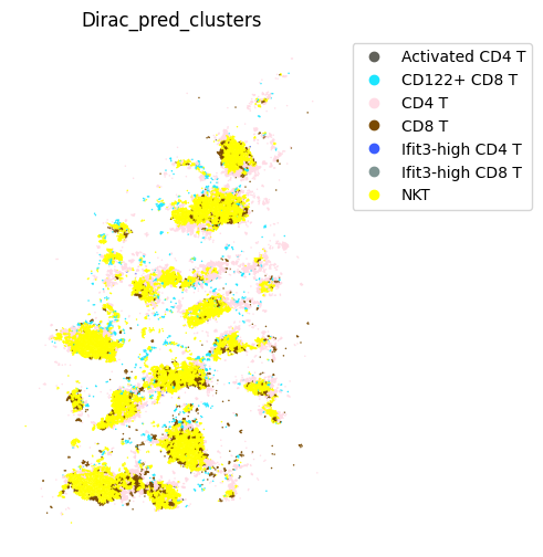 Spatial localization of immune cells in the mouse spleen using DIRAC ...