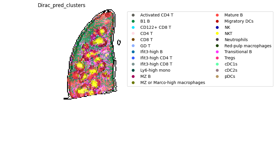 Spatial localization of immune cells in the mouse spleen using DIRAC ...