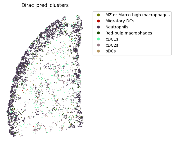Spatial localization of immune cells in the mouse spleen using DIRAC ...