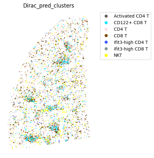Spatial localization of immune cells in the mouse spleen using DIRAC ...
