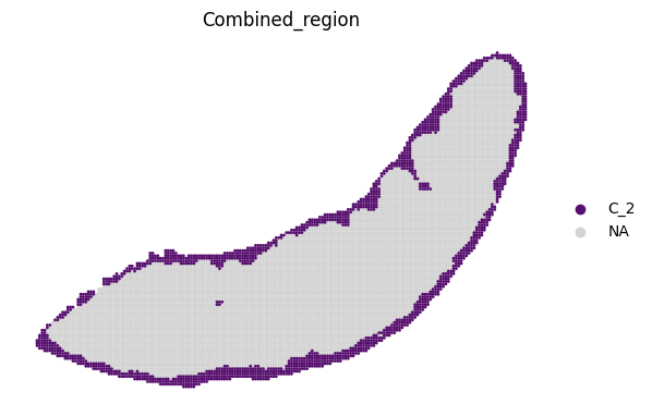 Identify spatial domains in the mouse spleen (bin100) using DIRAC ...