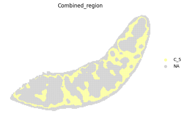 Identify spatial domains in the mouse spleen (bin100) using DIRAC ...