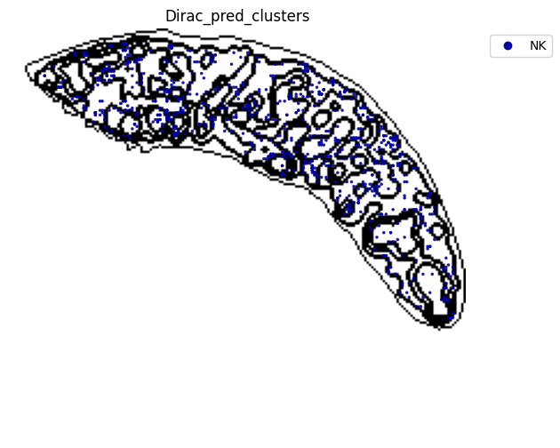 Mouse spleen (cellbin) DIRAC for spatial localization of immune cells ...