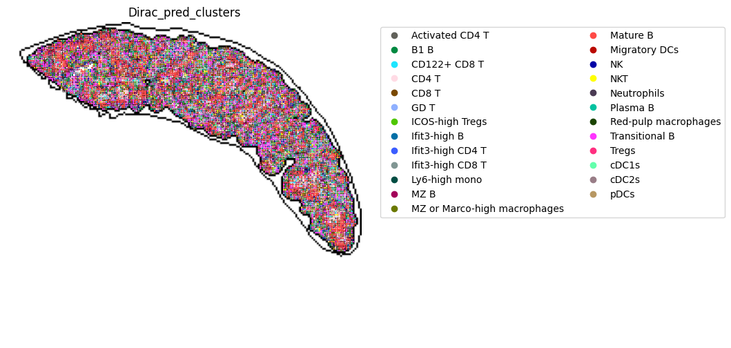 Mouse spleen (cellbin) DIRAC for spatial localization of immune cells ...